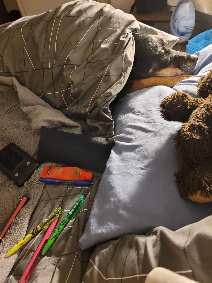 Boss is so seriously so spoilt 😆 – Life's A Story